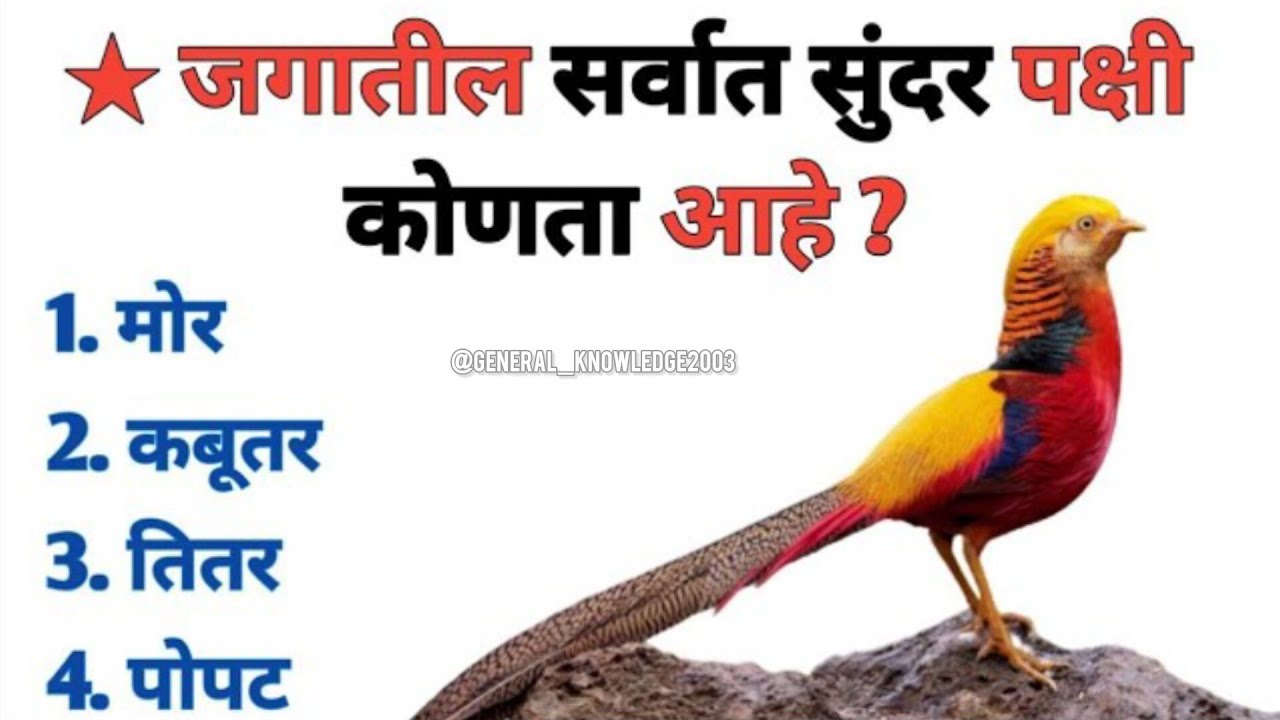 जनरल नॉलेज मराठी प्रश्न आणि उत्तरे Ii Gk In Marathi General Knowledge