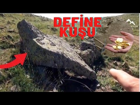 Kuşun definesi bulunma anı/treasure hunter