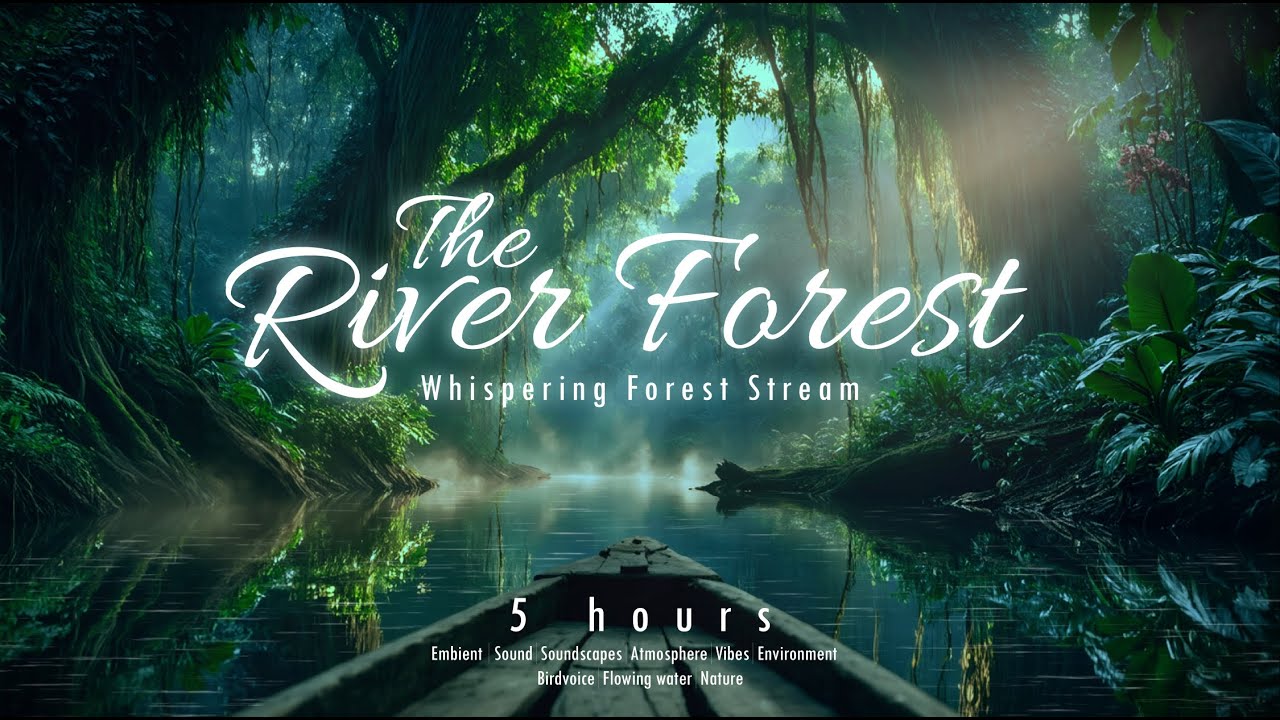 Boat ride in the Forest 🌳Flowing water💦 Birdvoice🦜 5 Hours - Ambient ...