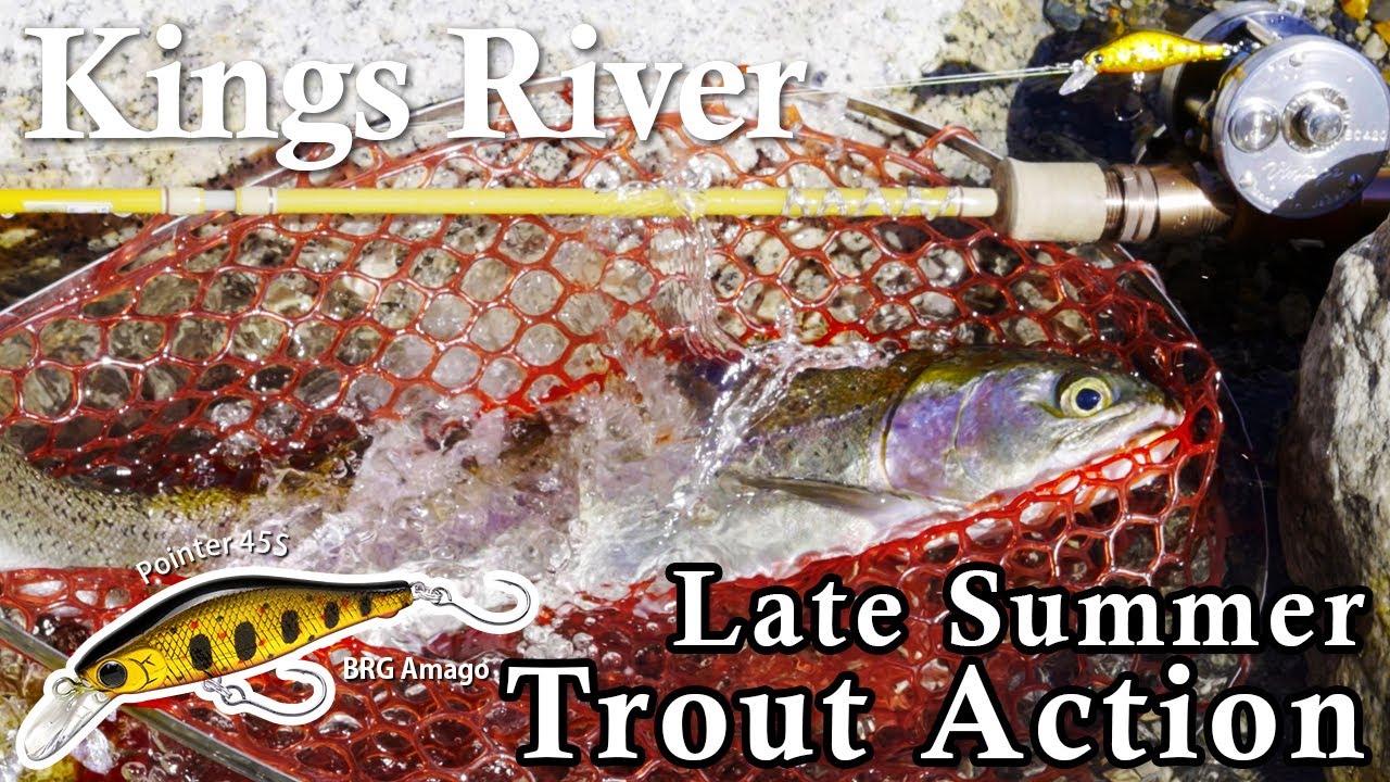 Late Summer Trout Action at Kings River【BFS Trout Fishing】 - YouTube