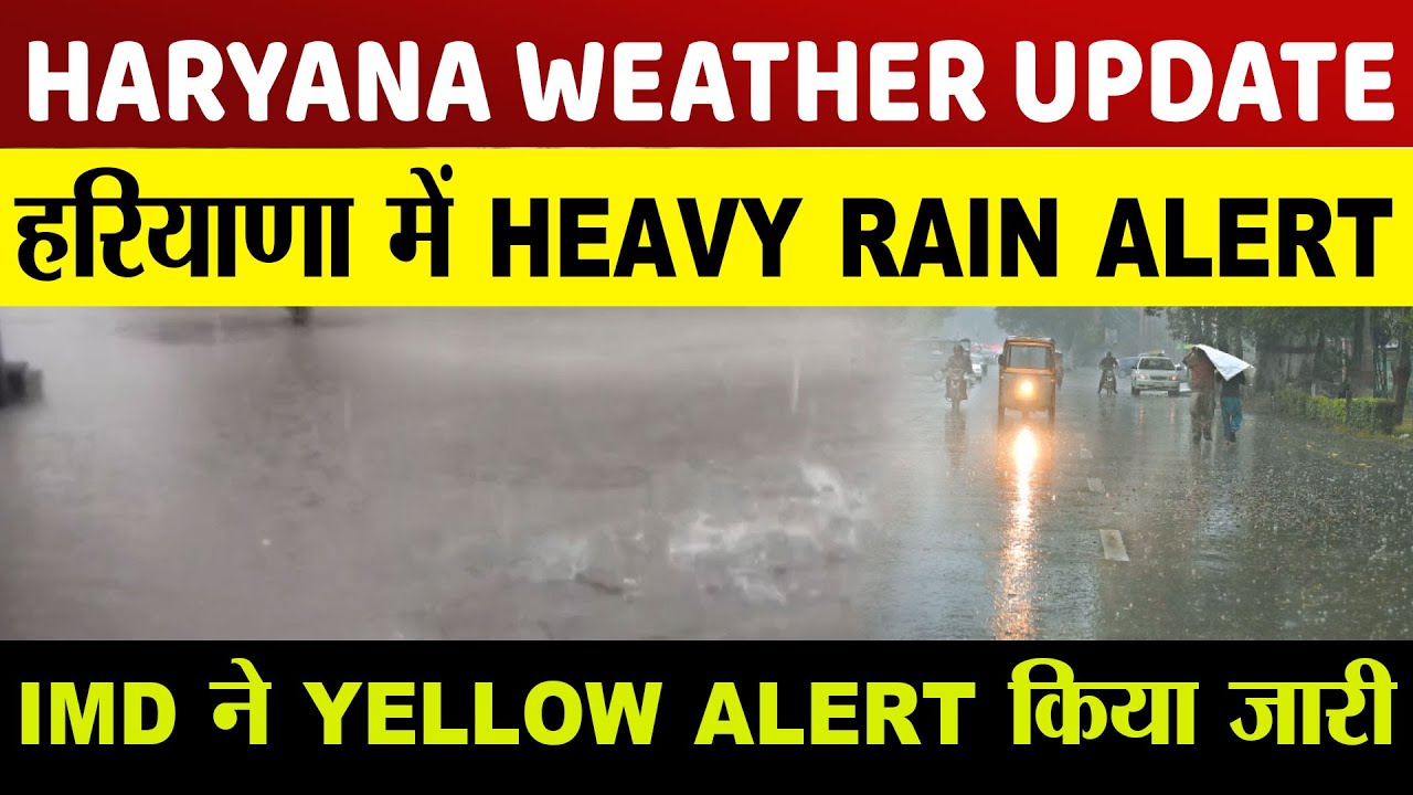 Haryana Weather Update | हरियाणा में Heavy Rain Alert | IMD ने Yellow ...