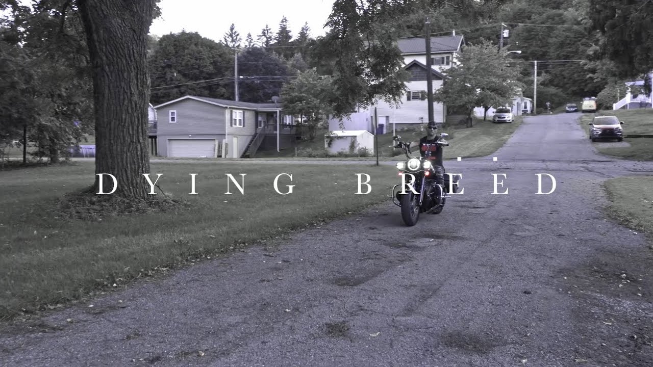 OFFICIAL VIDEO - “Getting Even” by Dying Breed - YouTube