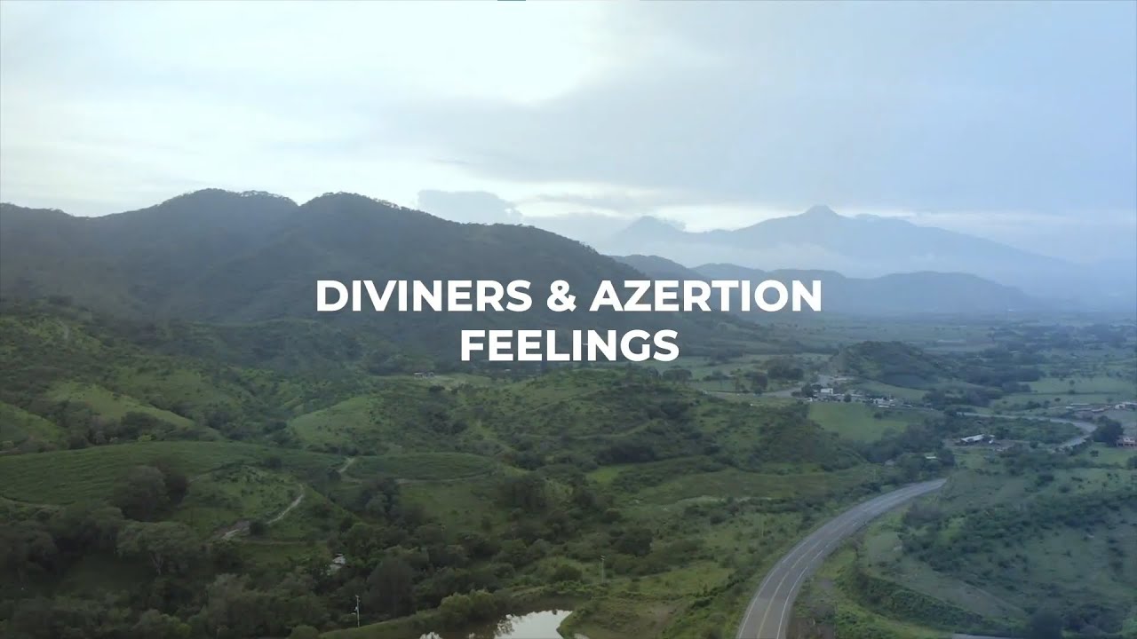Diviners & Azertion - Feelings (Official Lyric Video) - YouTube