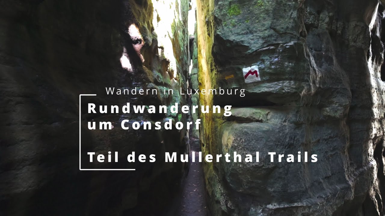 Wandern Luxemburg Mullerthal Trail, Teilstück & Rundkurs bei Consdorf ...