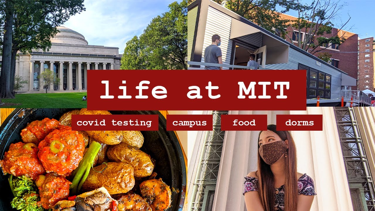 life in COVID MIT - YouTube
