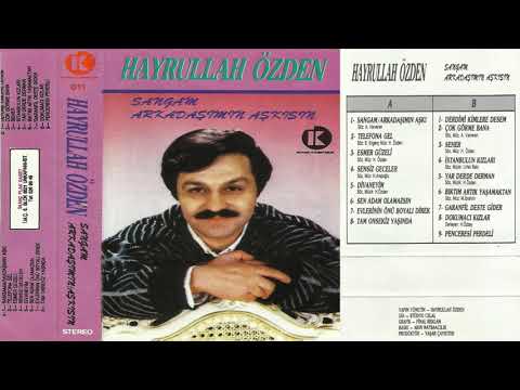 Hayrullah Özden -  Sensiz Geceler