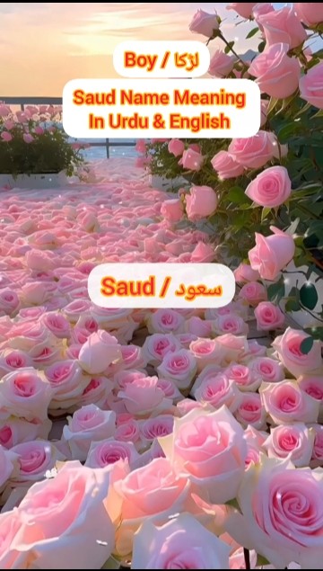 Meaning of Saud | Saud Naam Ka Matlab Urdu Mein | Islamic Boys Name ...