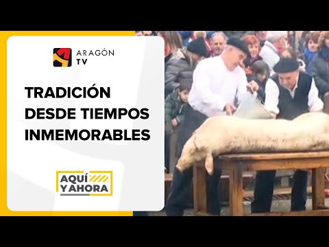 El cerdo, un animal que ha marcado la historia en Aragón con la “matacía”