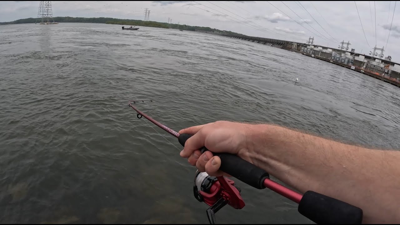 Skipjack Fishing Below A Dam (Catch your own catfish bait) - YouTube
