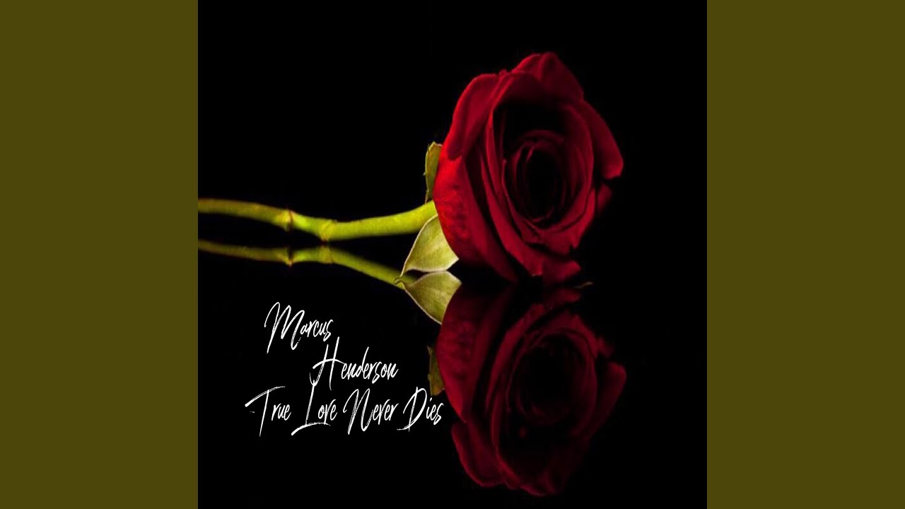 Scorpion Nights - YouTube