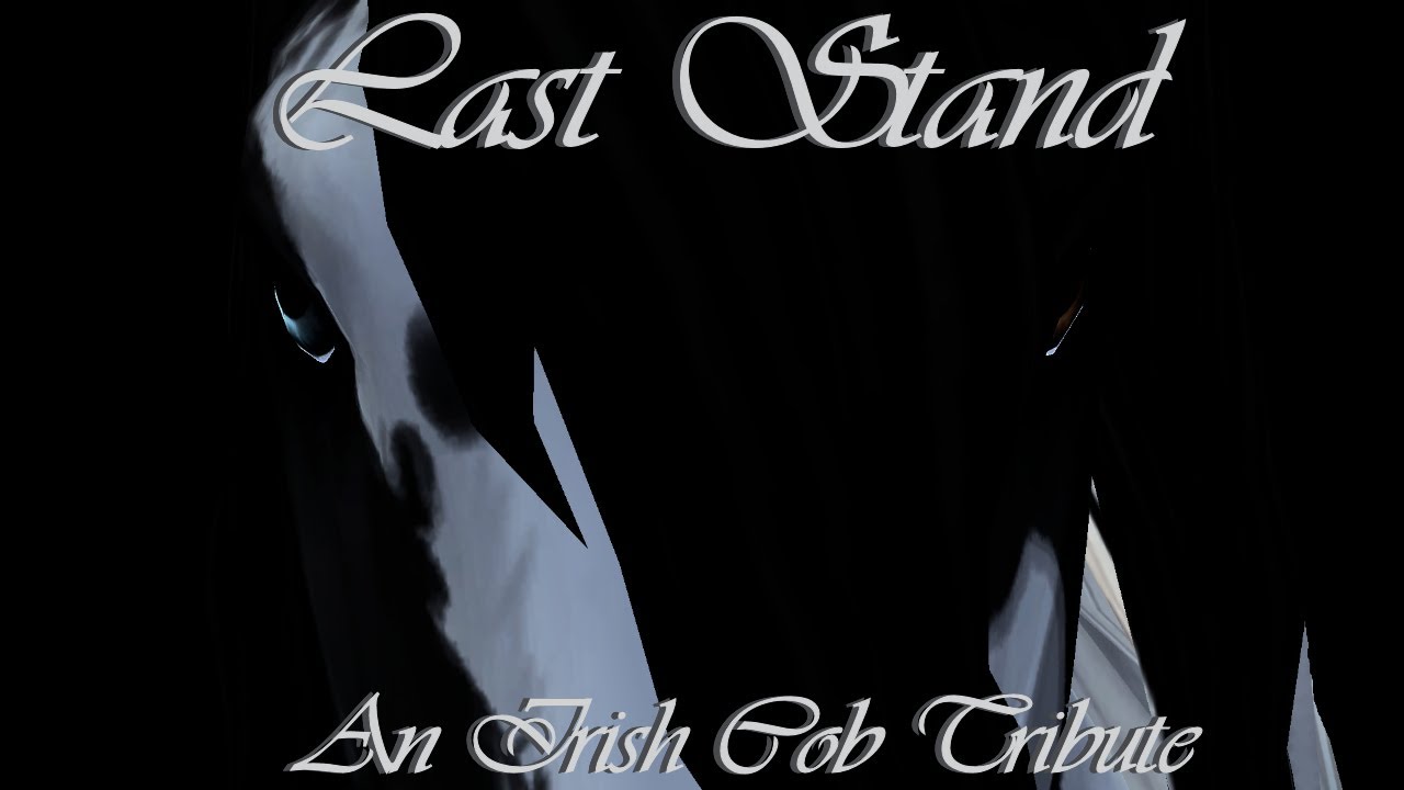 Last Stand ~ An Irish Cob Tribute ~ Beauty of Star Stable Horses ~Star ...