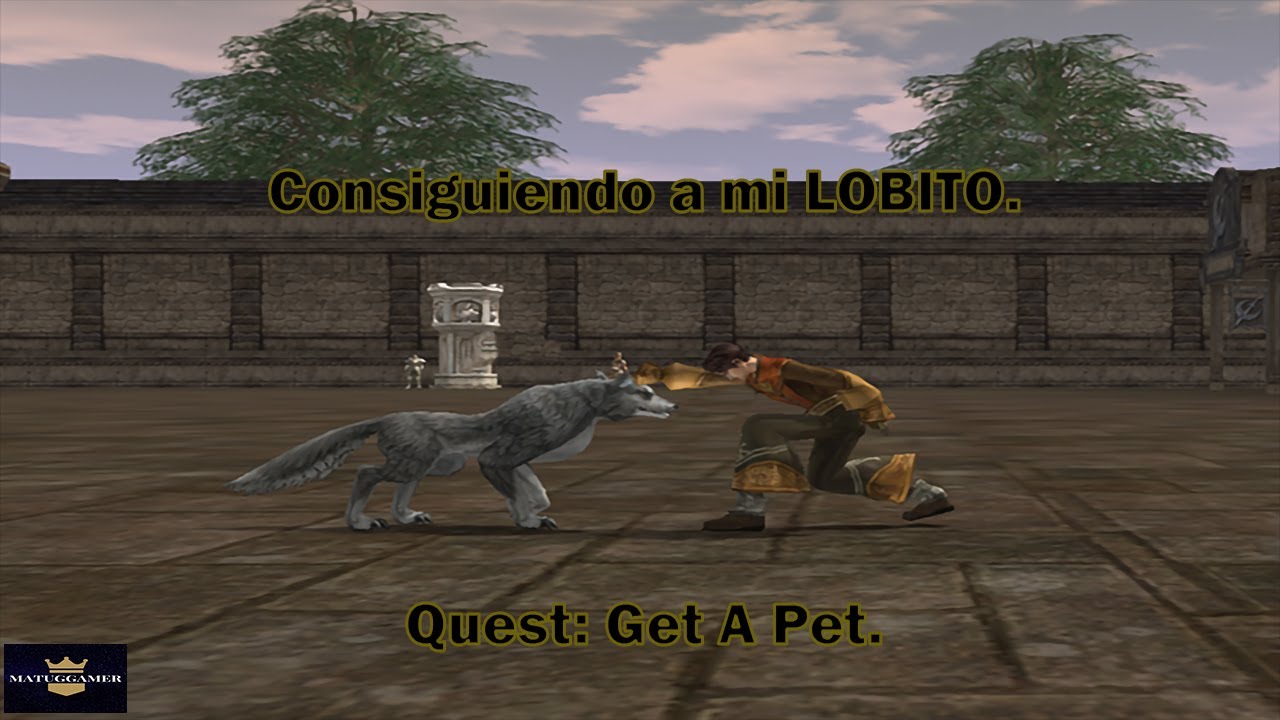 Consiguiendo un LOBO en LINEAGE 2(H5) QUEST: GET A PET. - YouTube