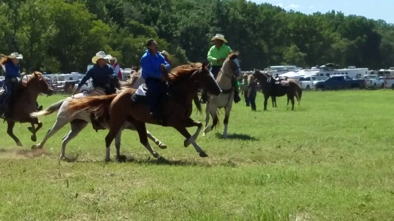 LINDA BAILEY & Marty owned by Carl Schultz-Friday Snowy River Race ...