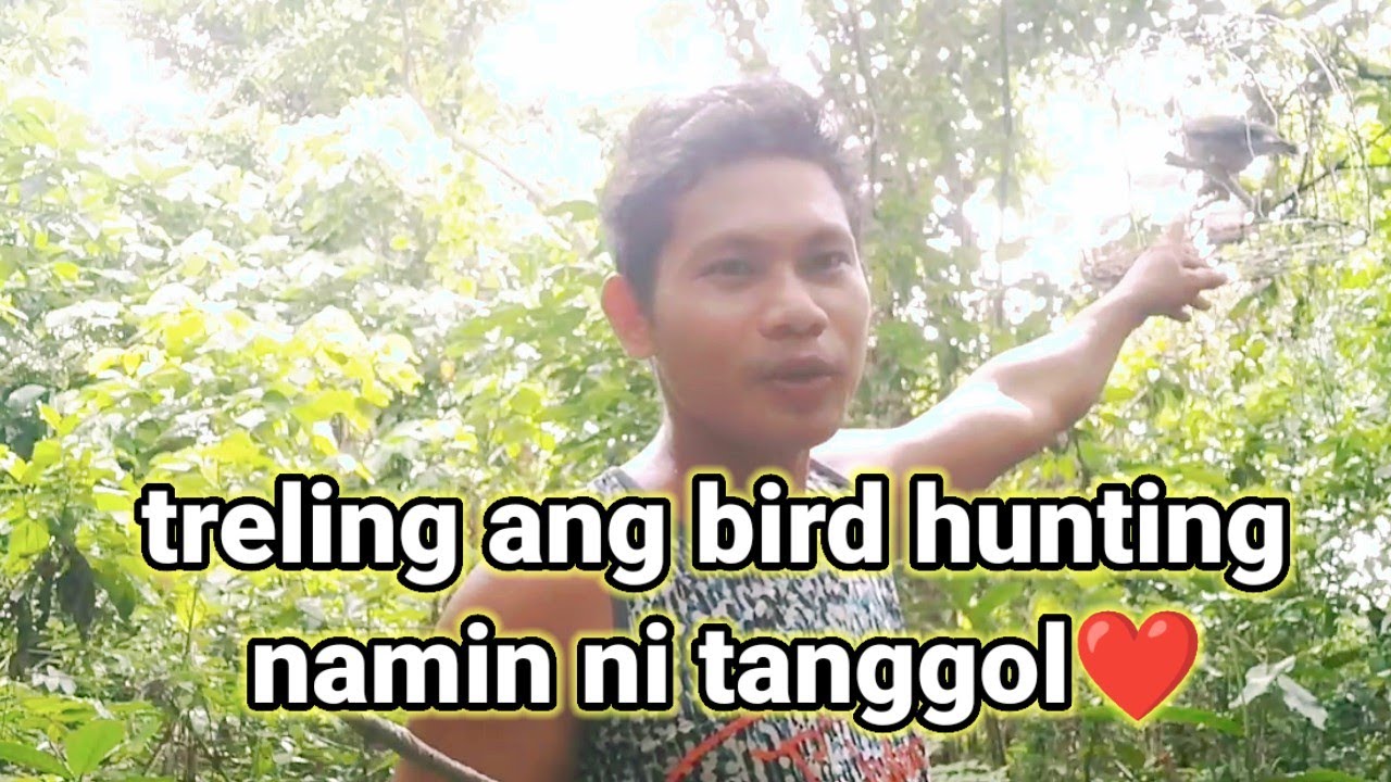 Grabi Ka treling ang bird hunting namin NI tanggol. grabi Ka wais Ng ...