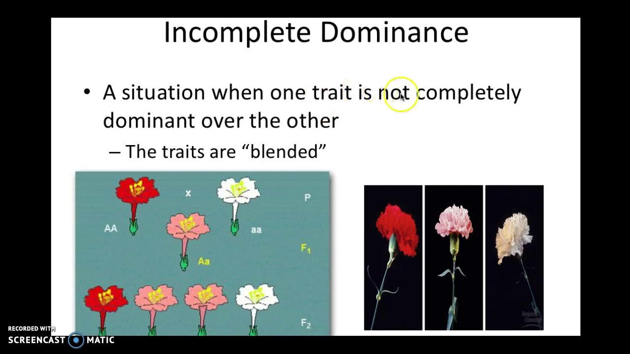 Complex Traits Lecture - YouTube