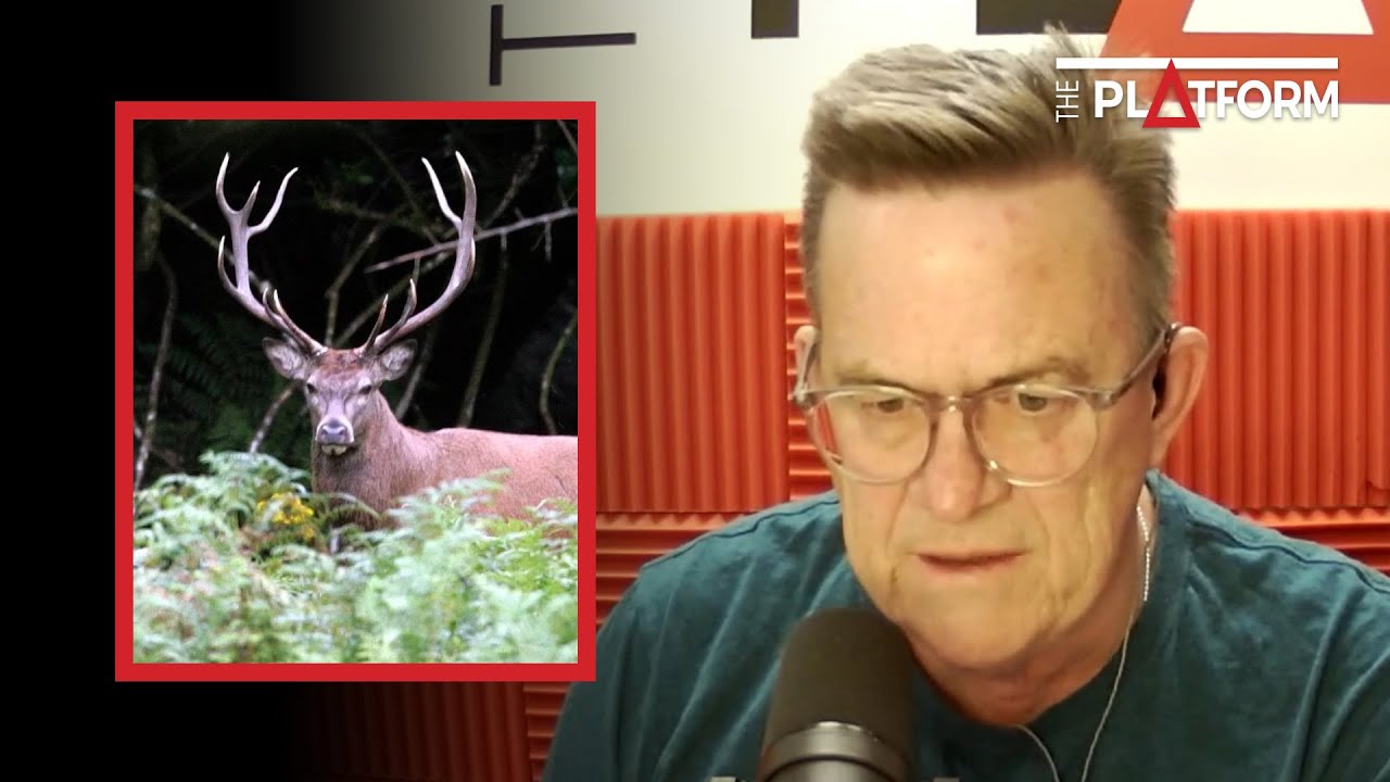 Full Interview: Jonathan Hill On His Policy To Fix The Wild Deer Crisis - YouTube