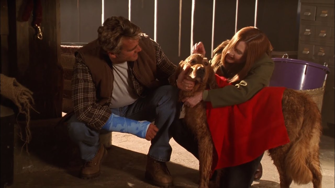 Jonathan y Martha Kent Deciden conservar a Shelby "Krypto" | SMALLVILLE ...