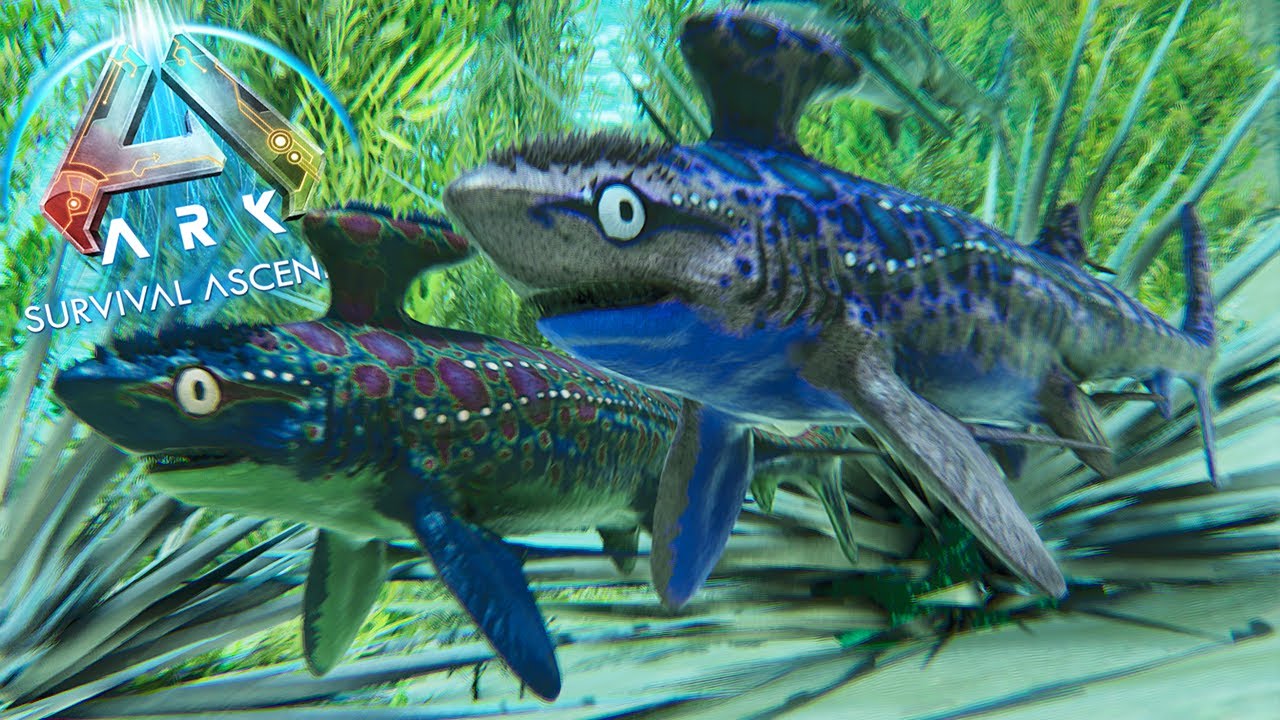 NUEVO STETHACANTHUS Y ERIZO DE MAR EN ARK: ASCENDED - YouTube