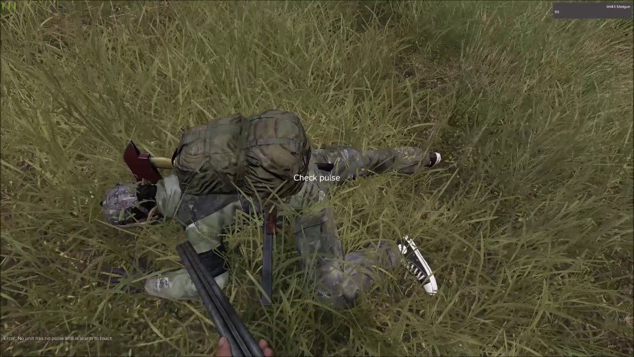 DayZ Field between Novy and Stary sobor w/ Lauri - YouTube