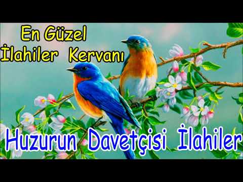 🌹En Güzel İlahiler🌹Karışık İlahiler🌹Muhteşem İlahiler🌹Huzur Veren İlahiler - İlahi Dinle