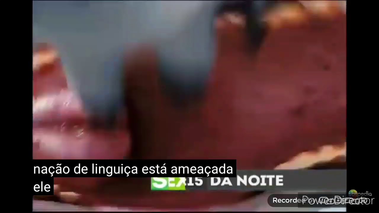 happy feet 2 o pinguim zoomoo tolitca - YouTube