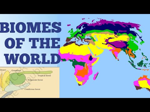 BIOME of the world|ECOLOGY|NEET|CSIR NET|GATE|AIIMS|GEOGRAPHY|BIOLOGY ...