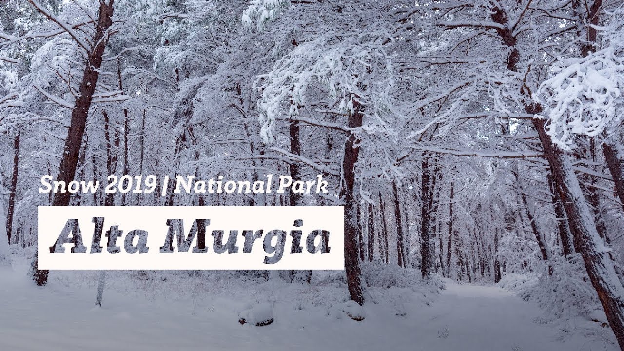 PUGLIA SNOW 2019! - NEVE IN PUGLIA 2019! - NATIONAL PARK OF ALTA MURGIA ...