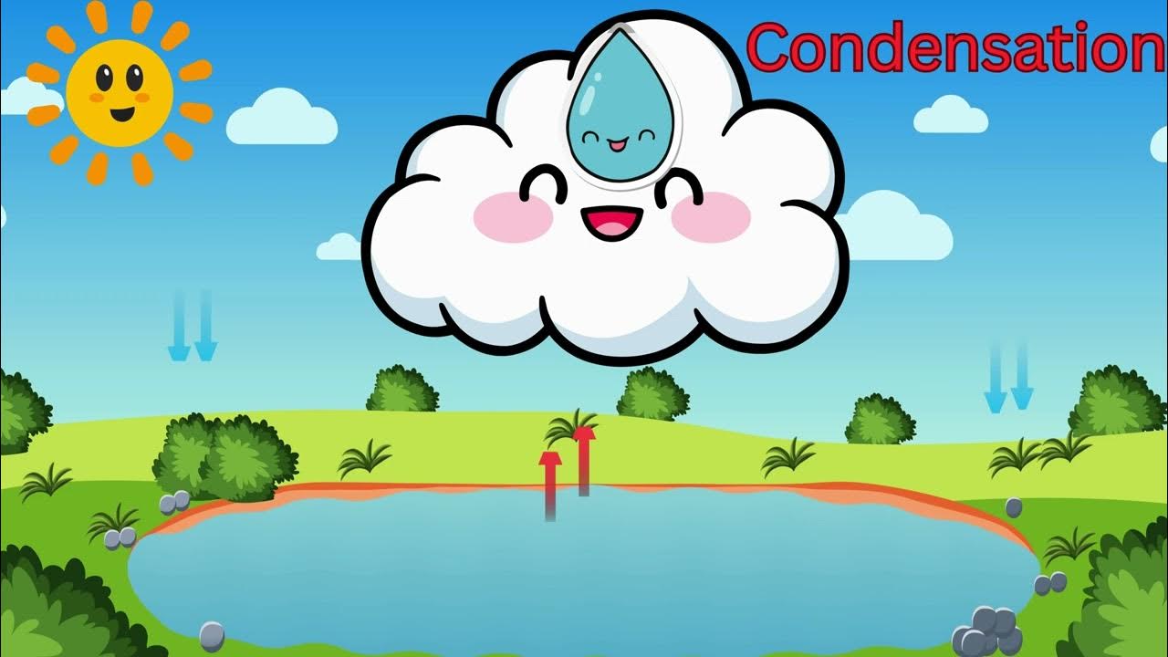 The Water Cycle Adventure!: Learn with Fun Friends! | Learning videos ...