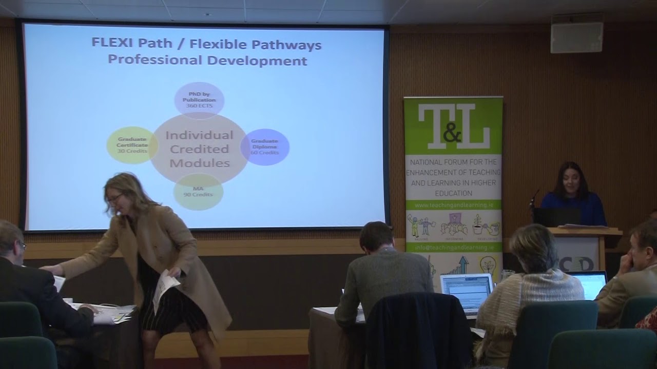 Professional Development Capacity Building in Higher Education ...