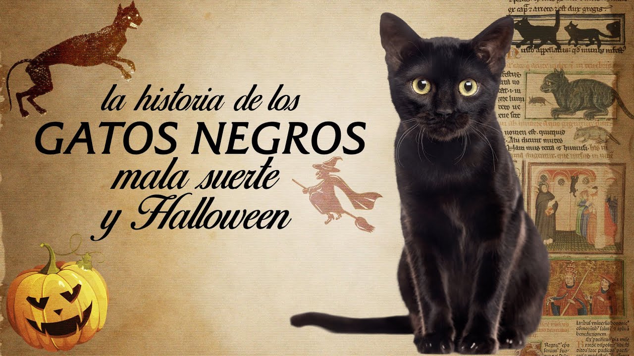 Mitología Del Demonio Gato