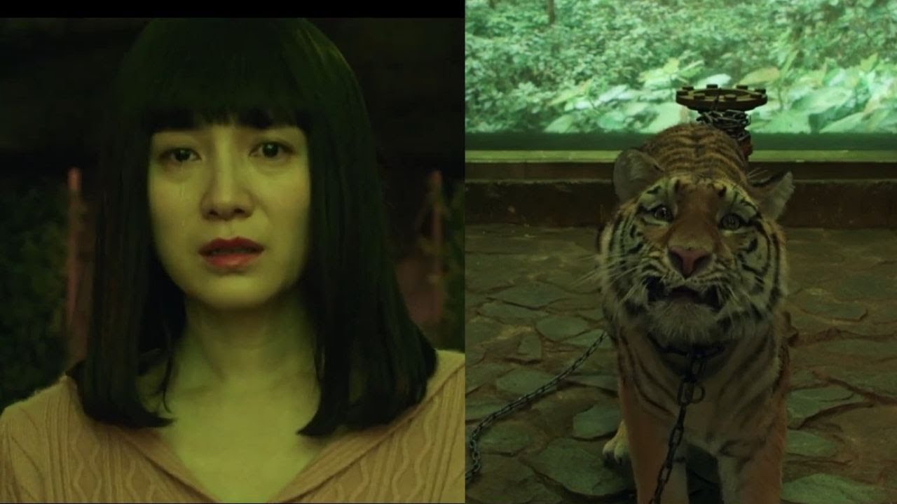 ಟೈಗರ್ ರೋಬ್ಬರ್ಸ್ | ಕನ್ನಡದಲ್ಲಿ | Best Scene | Sui-Man Chim - Ultra ...