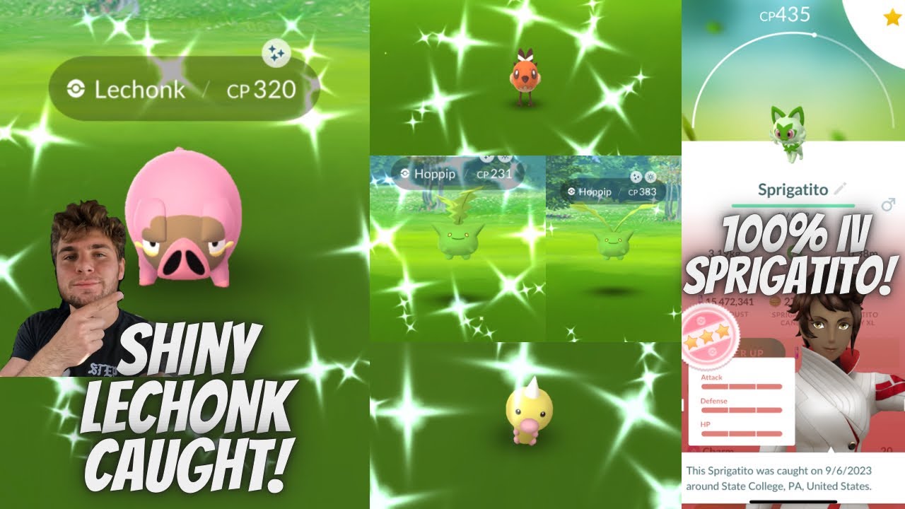 Shiny Lechonk Caught! 100 IV Sprigatito and More In Pokemon Go! - YouTube