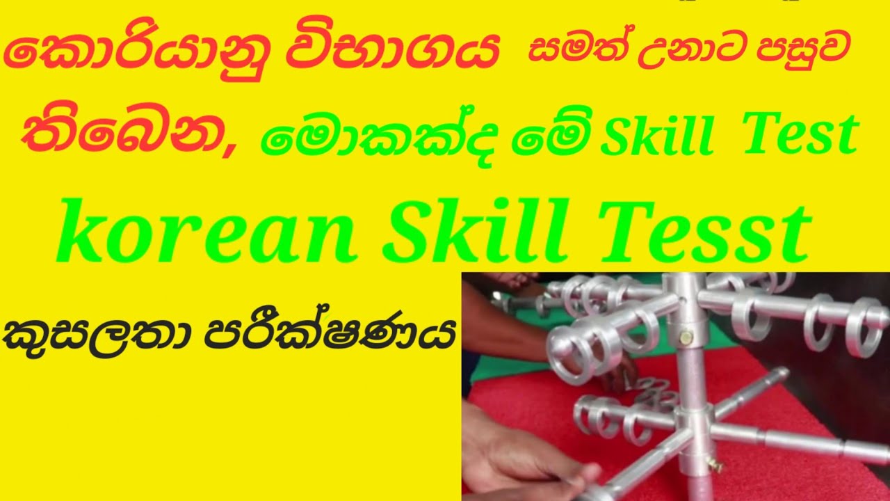 Korean Skill Test| මොකක්ද මේ ස්කිල් ටෙස්ට් කියන්නේ?| korean skill test ...