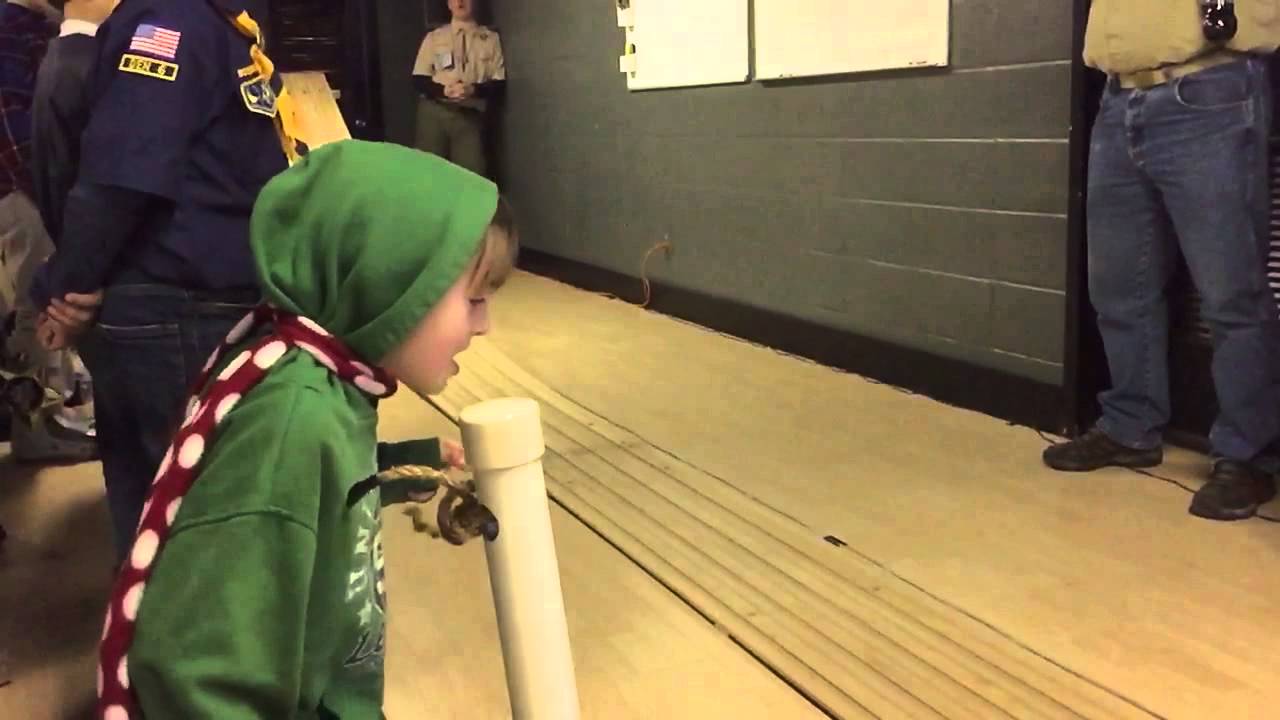 Pinewood derby 2016 finals heat 5 (rerun) - YouTube