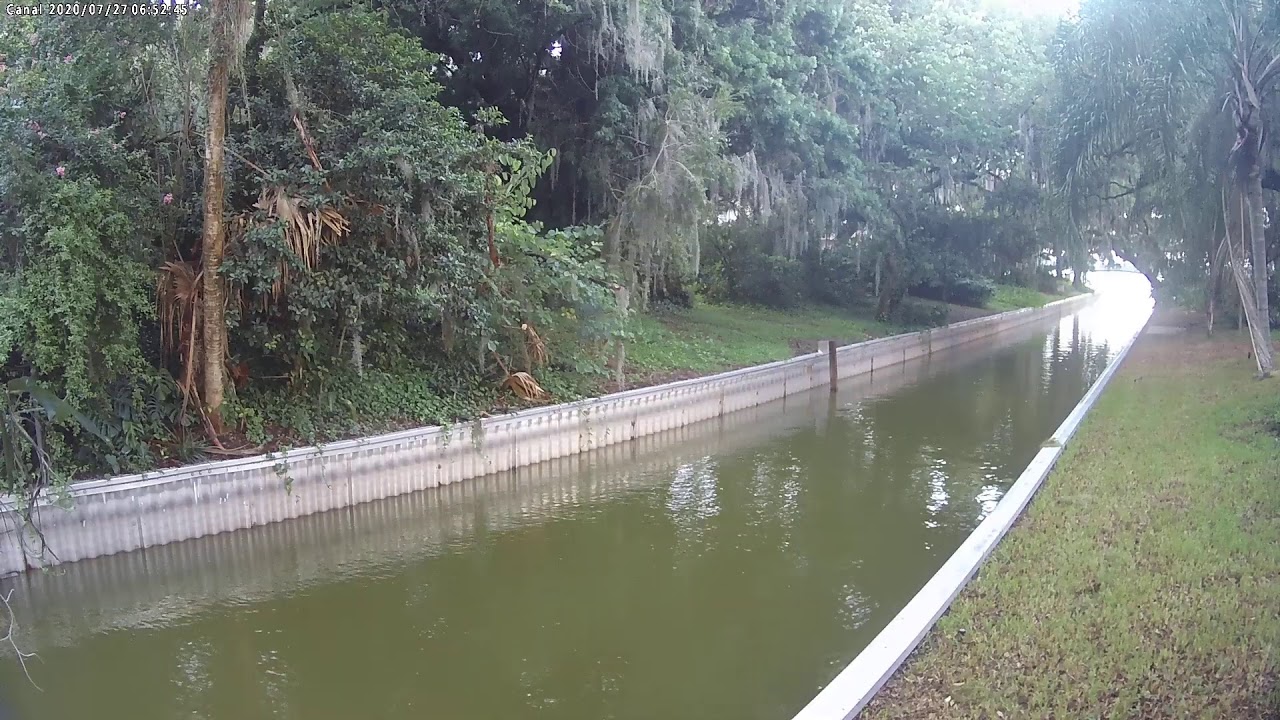 L. H. Canal Live Stream - YouTube