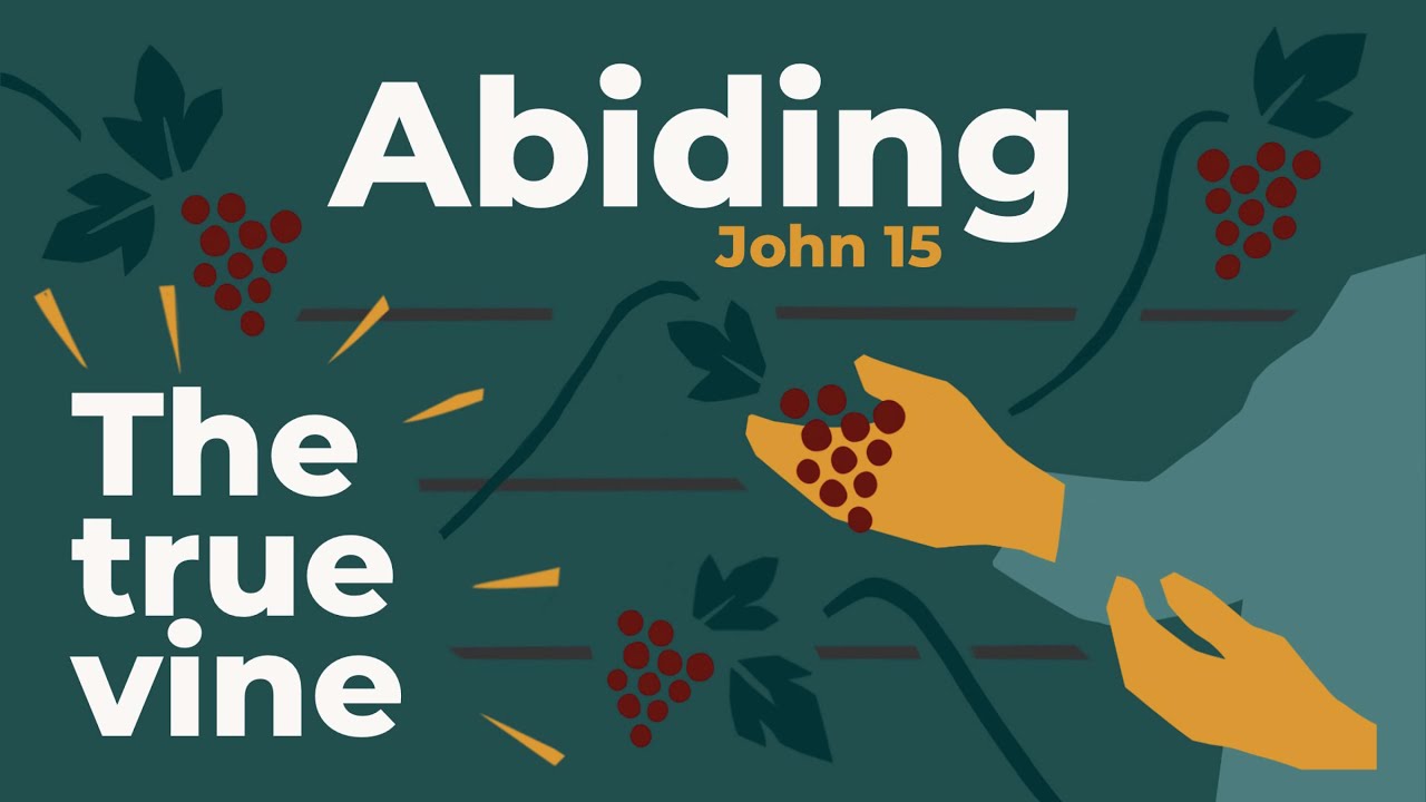 Abiding: John 15 | The True Vine - YouTube
