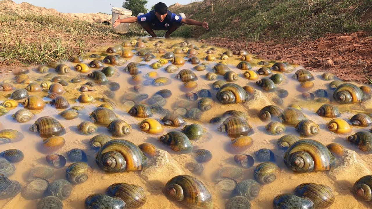 Wow great fishing! Catch lots of snails in the water near the lake with ...