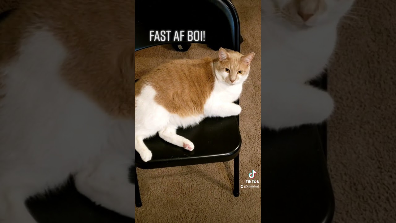 Fast AF Boi - YouTube