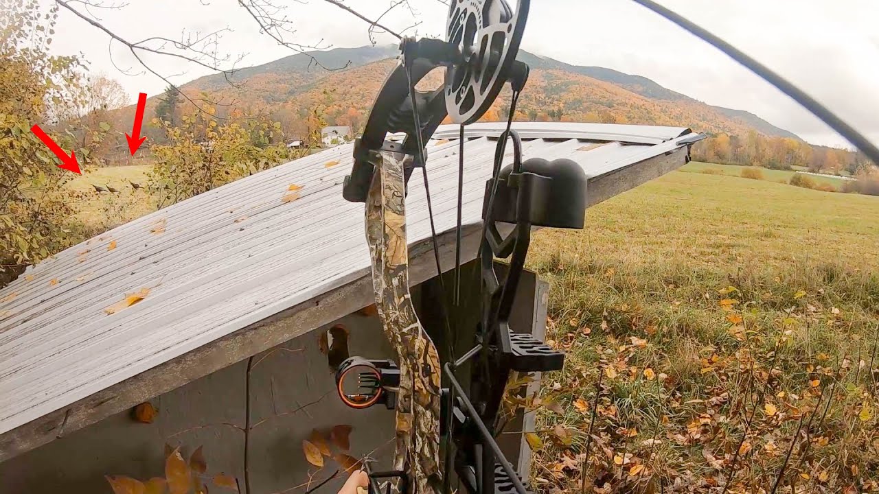 Vermont Fall Turkey Hunting (Missing Compilation) - YouTube