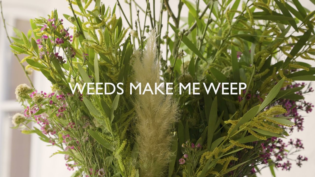 Weeds Make Me Weep | AIR x MicroClimate - YouTube