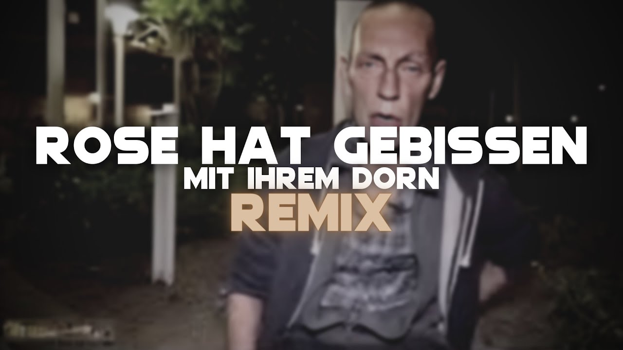 Die Rose hat mich gebissen | Remix by LAPIS - YouTube