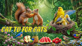 Cat TV for Cats 🐦 Colorful Birds in a Playful Paradise | Relaxing & Captivating 4K