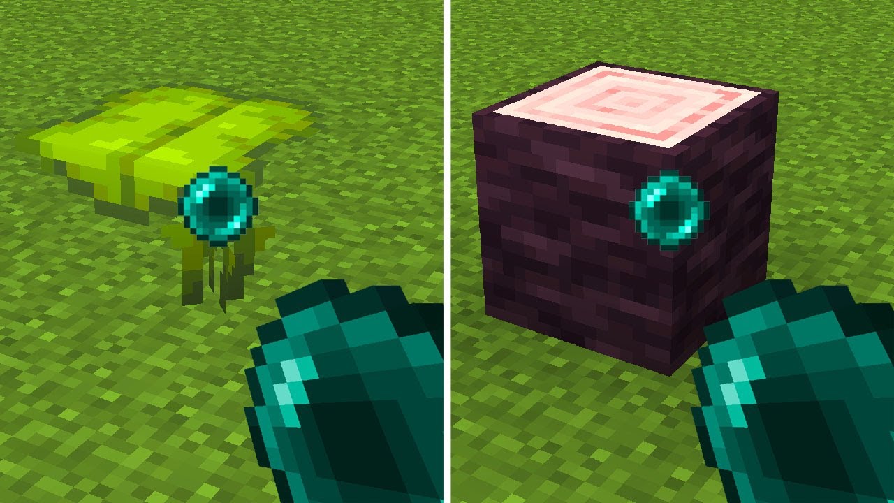 what's inside Big Dripleaf? what's inside Cherry Log? - YouTube