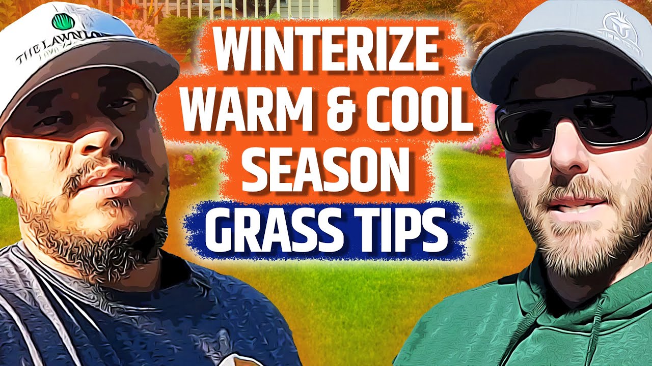 Winterizing Tips for Both Cool Season and Warm Season Grass Types - YouTube