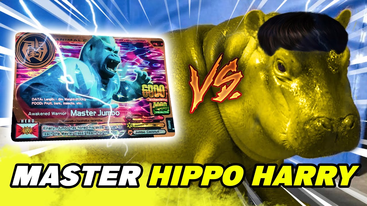Master Jumbo VS Master Hippo Harry | Animal Kaiser 2024 - YouTube