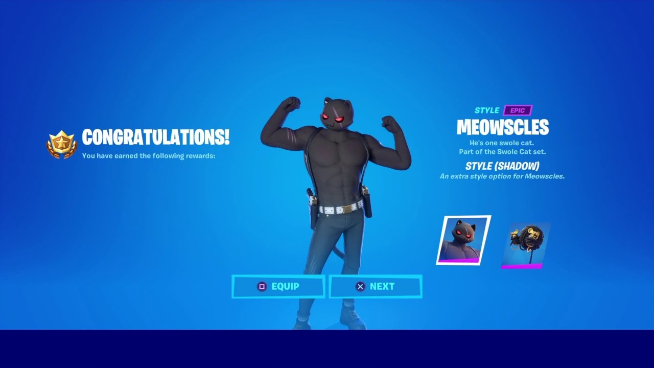 Fortnite Shadow Meowscles - YouTube