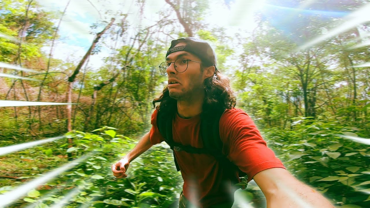 ENTREI EM UMA MATA MUITO FECHADA COM MEUS AMIGOS E OUVIMOS VÁRIOS TIROS ...