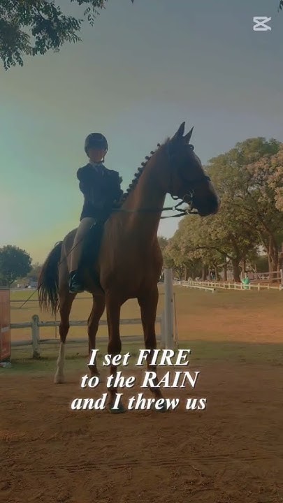 I love horse riding - YouTube