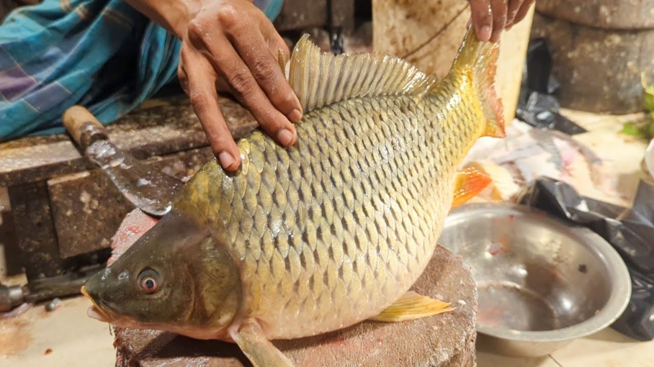 Incredible Live Carp Fish Cutting & Chopping In Fish Market Bangladesh ...