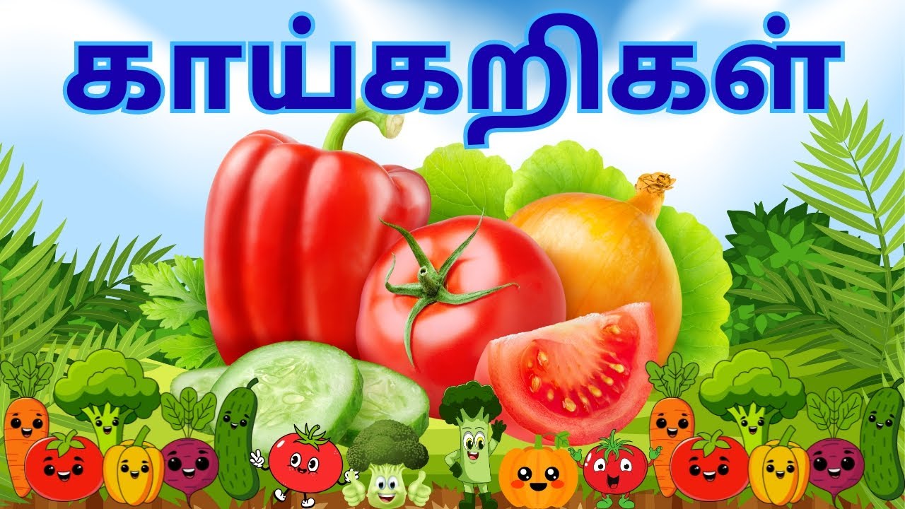 Vegetables names | காய்கறிகளின் பெயர்கள் | Name of vegetables in Tamil ...